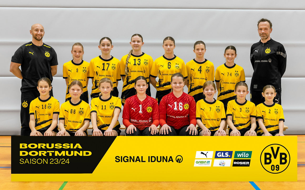 BVB-Handball | D-Jugend