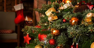 Modne choinki − inspiracje - Inspiracje i porady