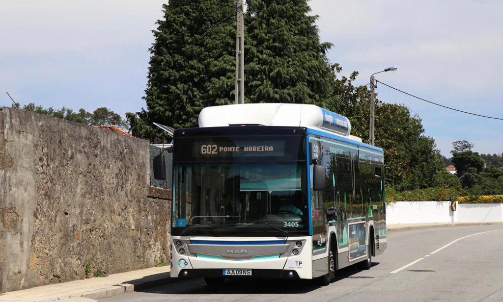 Chasis de autobús MAN: Chasis para carrocerías individuales