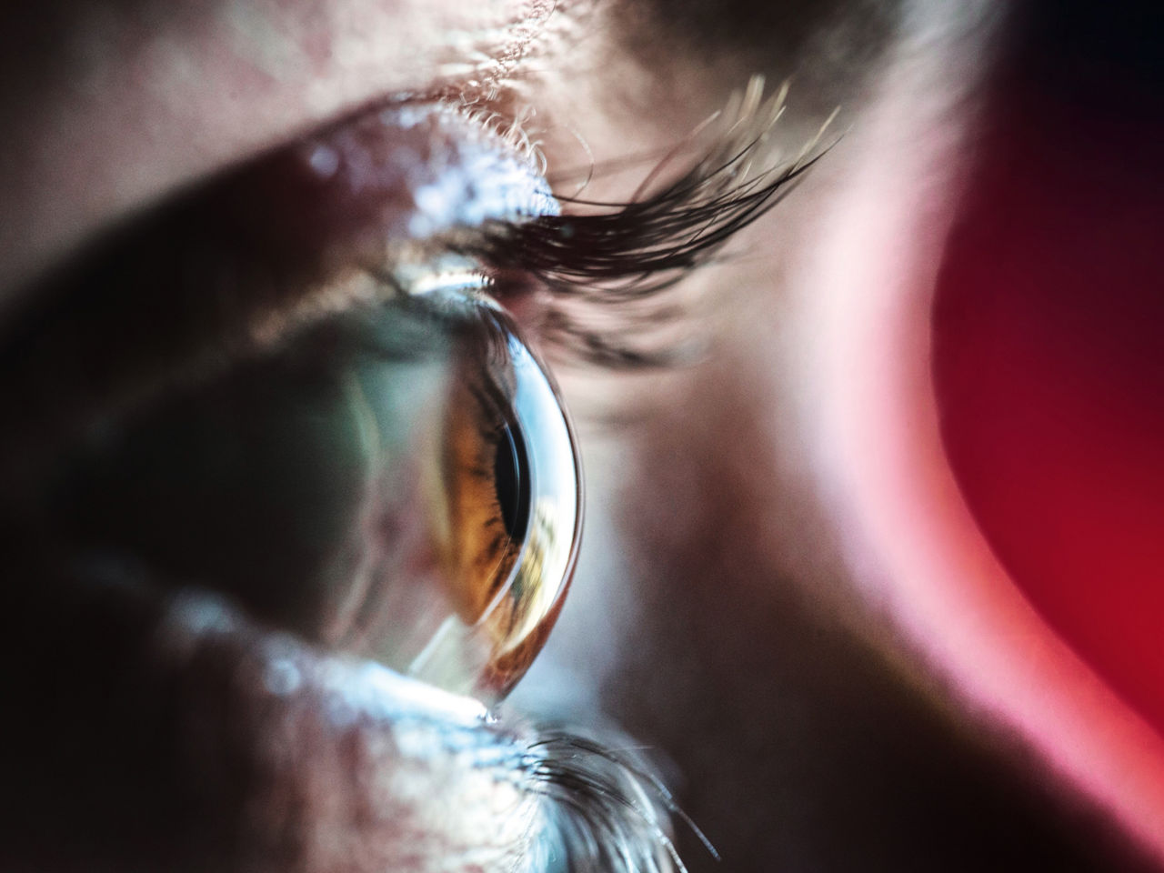 MAN DigitalServices | MAN