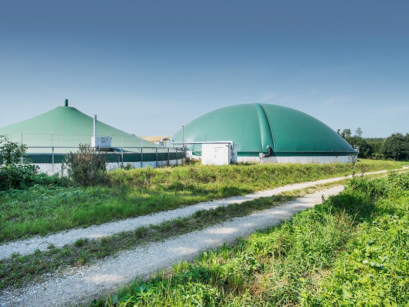 Biogas as a bridge to the hydrogen economy