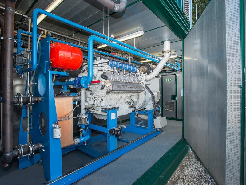 Biogas as a bridge to the hydrogen economy