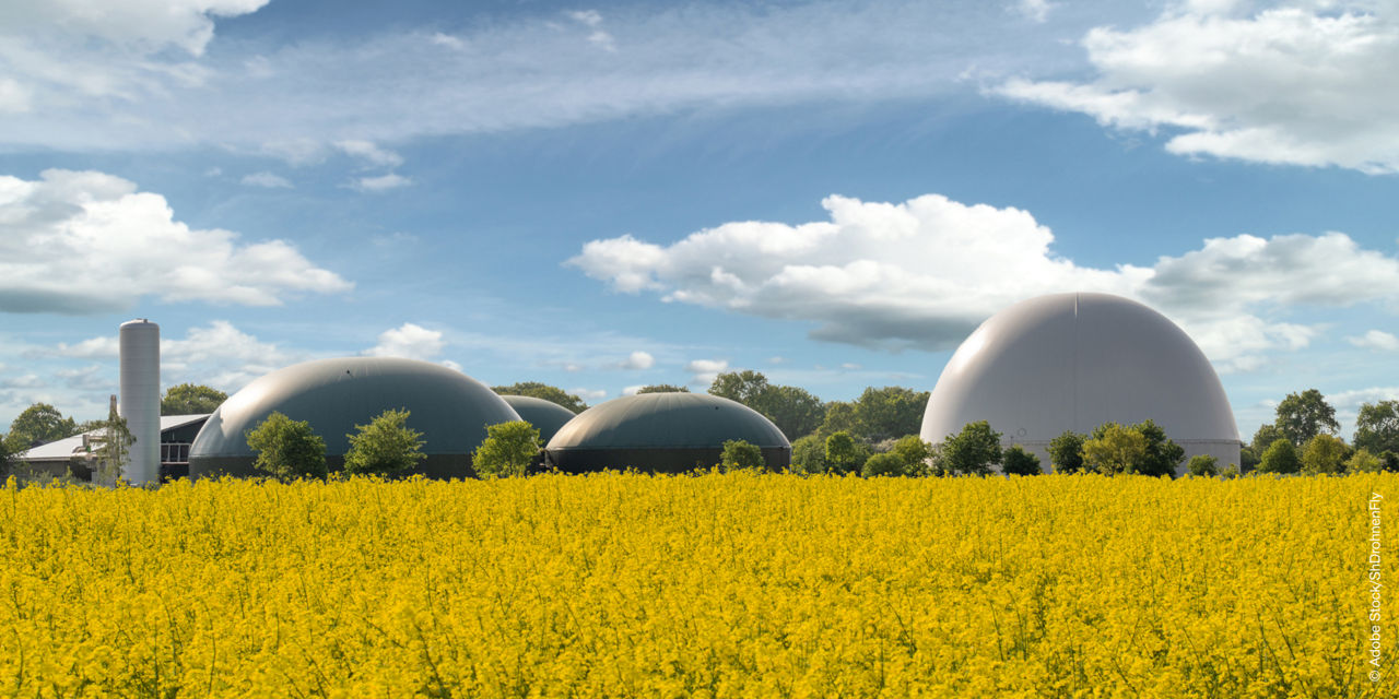 Powering the green transformation