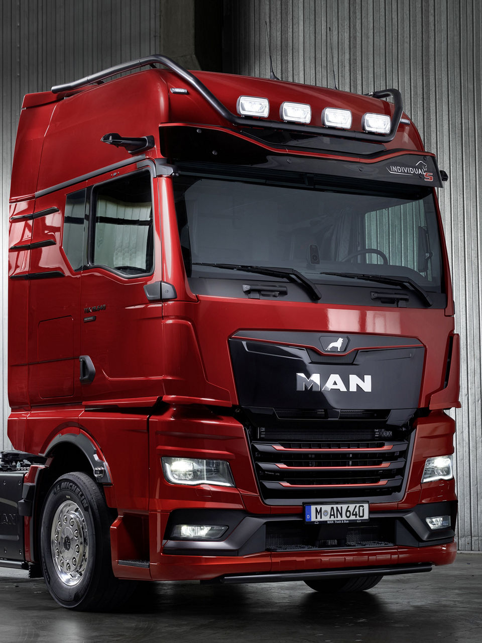 MAN TGX & MAN eTGX Individual Lion S | Top model