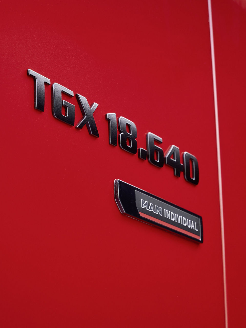 MAN TGX & MAN eTGX Individual Lion S | Top model | MAN