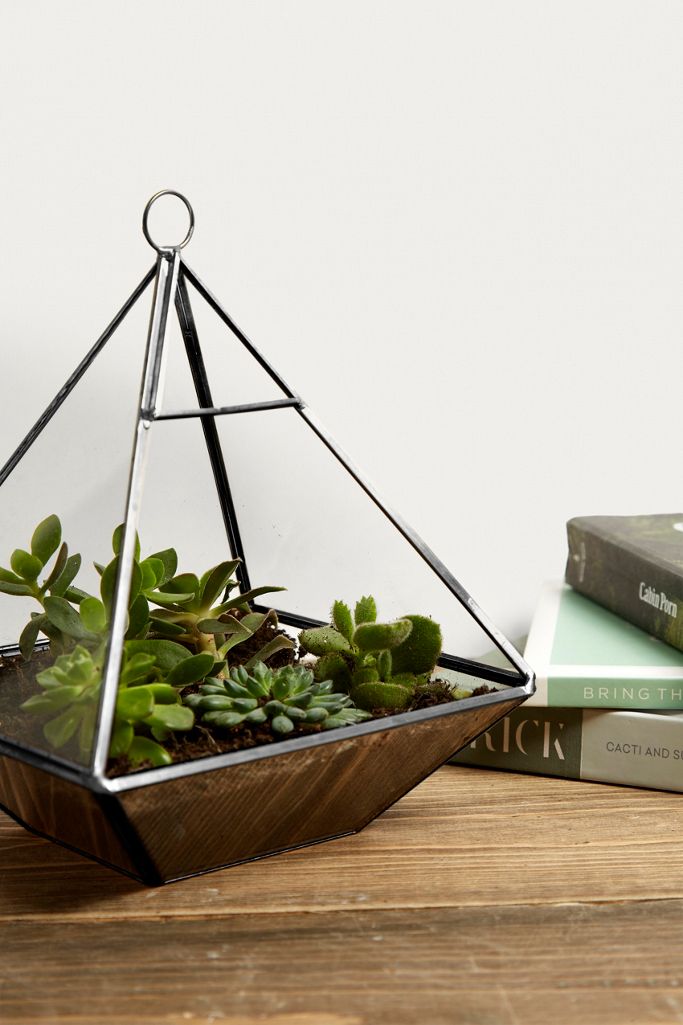 Geo Pyramid Terrarium | Urban Outfitters FR