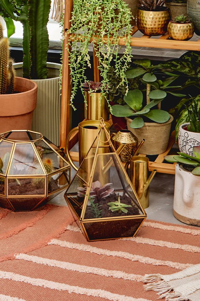 Triangle Terrarium | Urban Outfitters UK