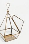 Triangle Terrarium | Urban Outfitters UK