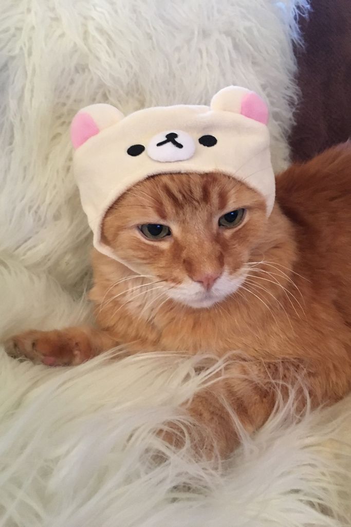 Rilakkuma – Katzen-Cap | Urban Outfitters DE