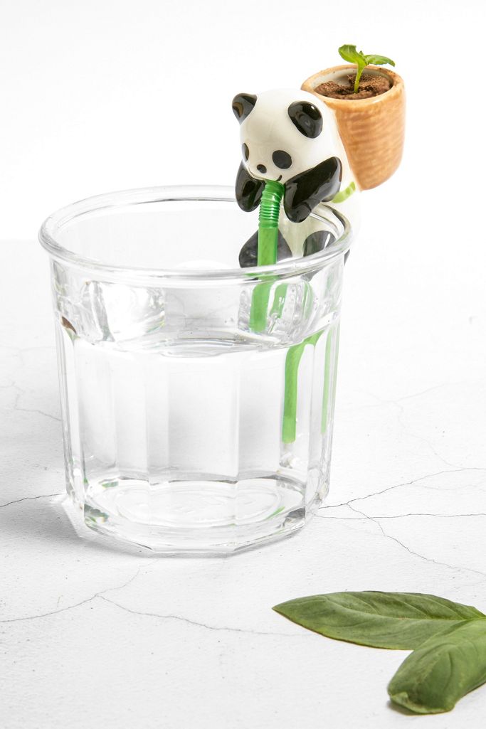 Chuppon Self-Watering Panda Planter | Urban Outfitters UK