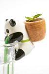 Chuppon Self-Watering Panda Planter | Urban Outfitters UK
