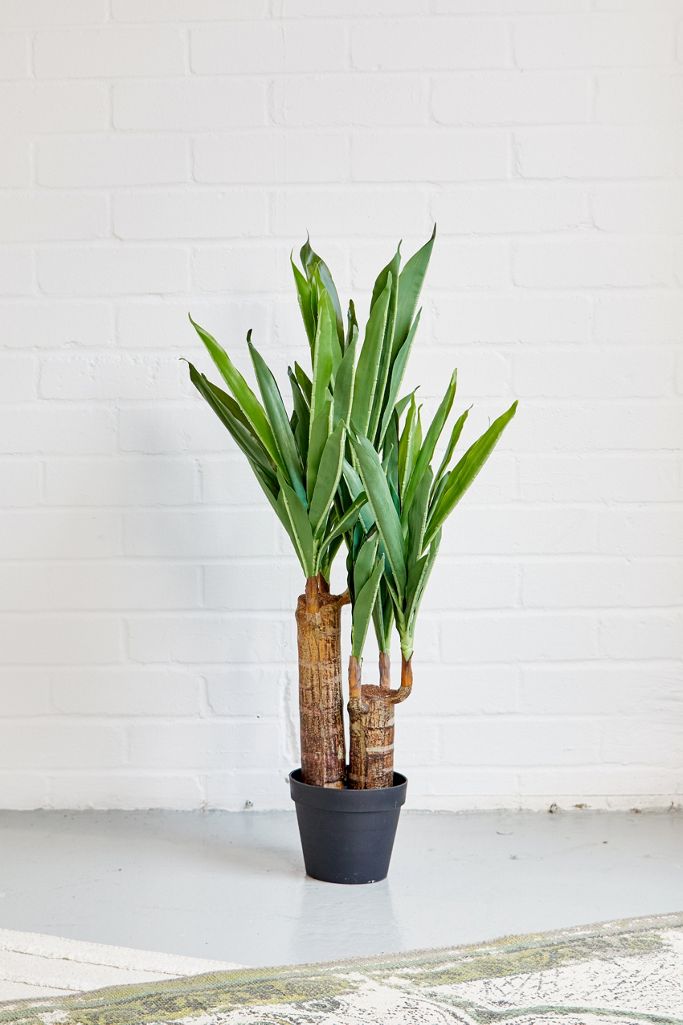 Faux Double Stem Yucca Plant | Urban Outfitters UK