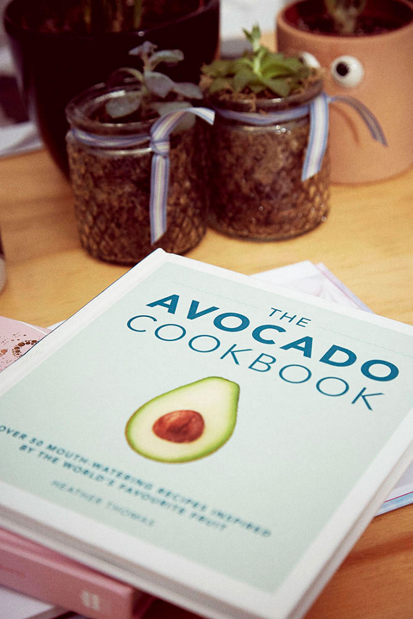 Heather Thomas – Kochbuch „The Avocado Cookbook“ | Urban Outfitters DE