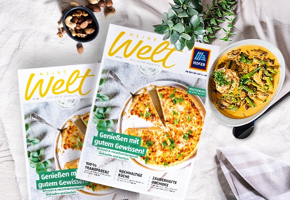 HOFER Broschüren: Online durchblättern | HOFER