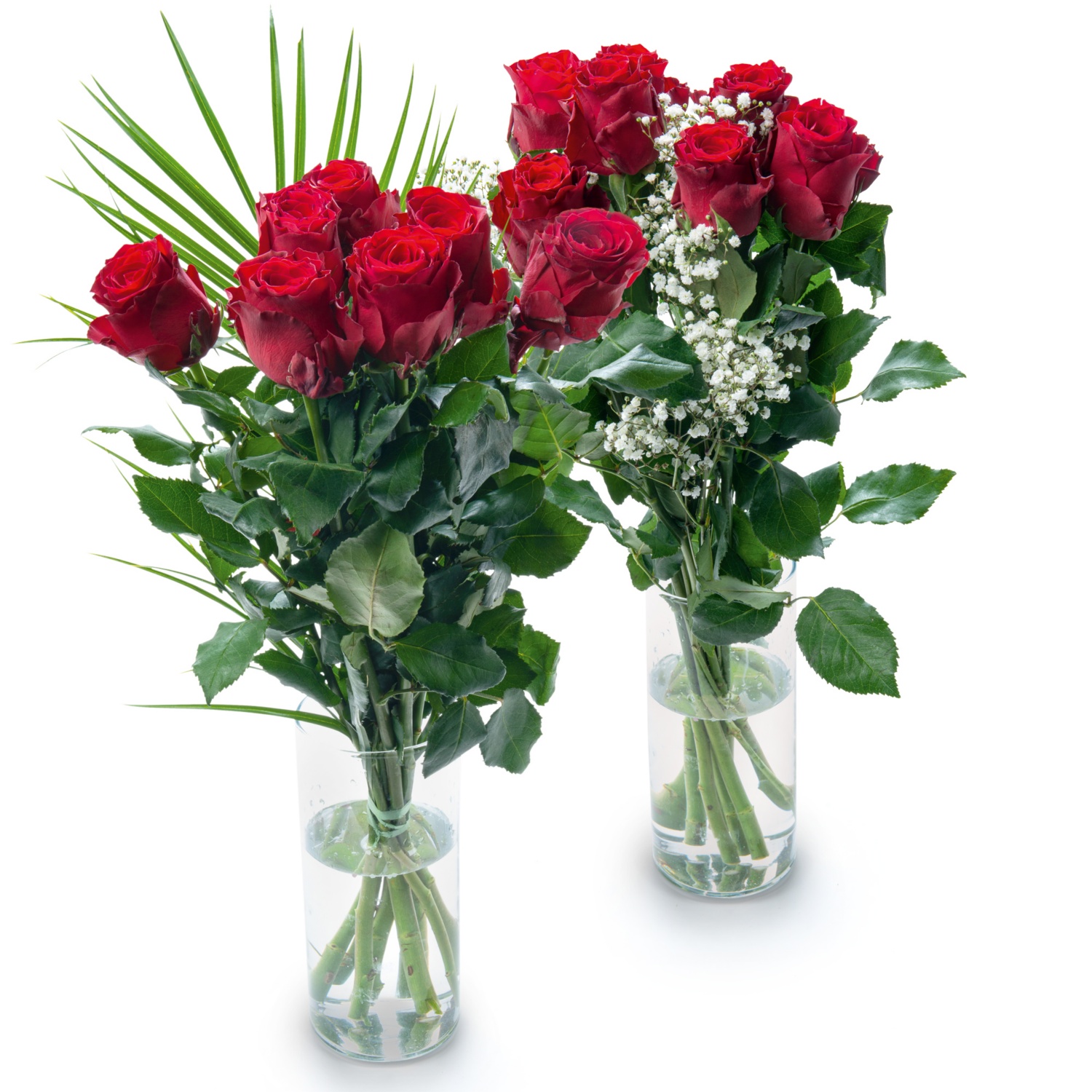 Roter Rosenstrauß | HOFER