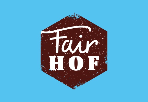 FLYING POWER Energy Drink | HOFER Eigenmarke