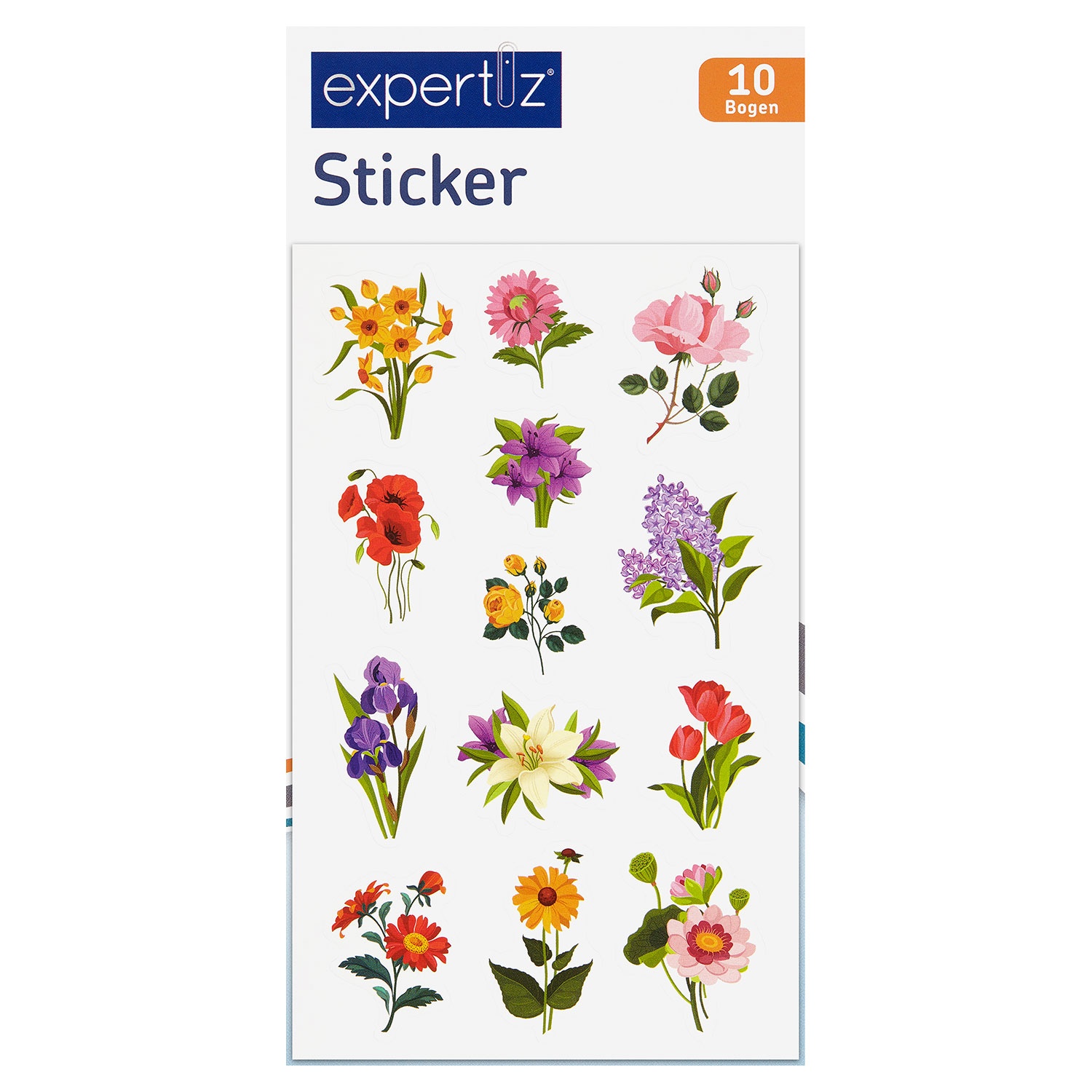 EXPERTIZ Sticker | ALDI SÜD