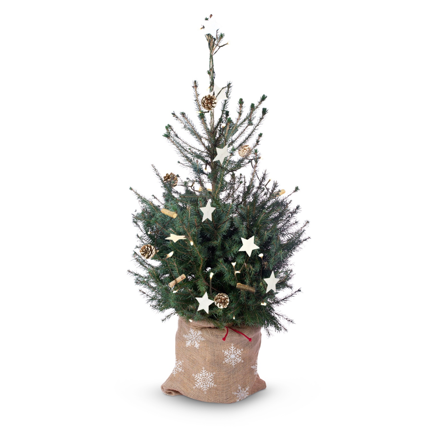 Weihnachtsbaum Am Sonntag Kaufen