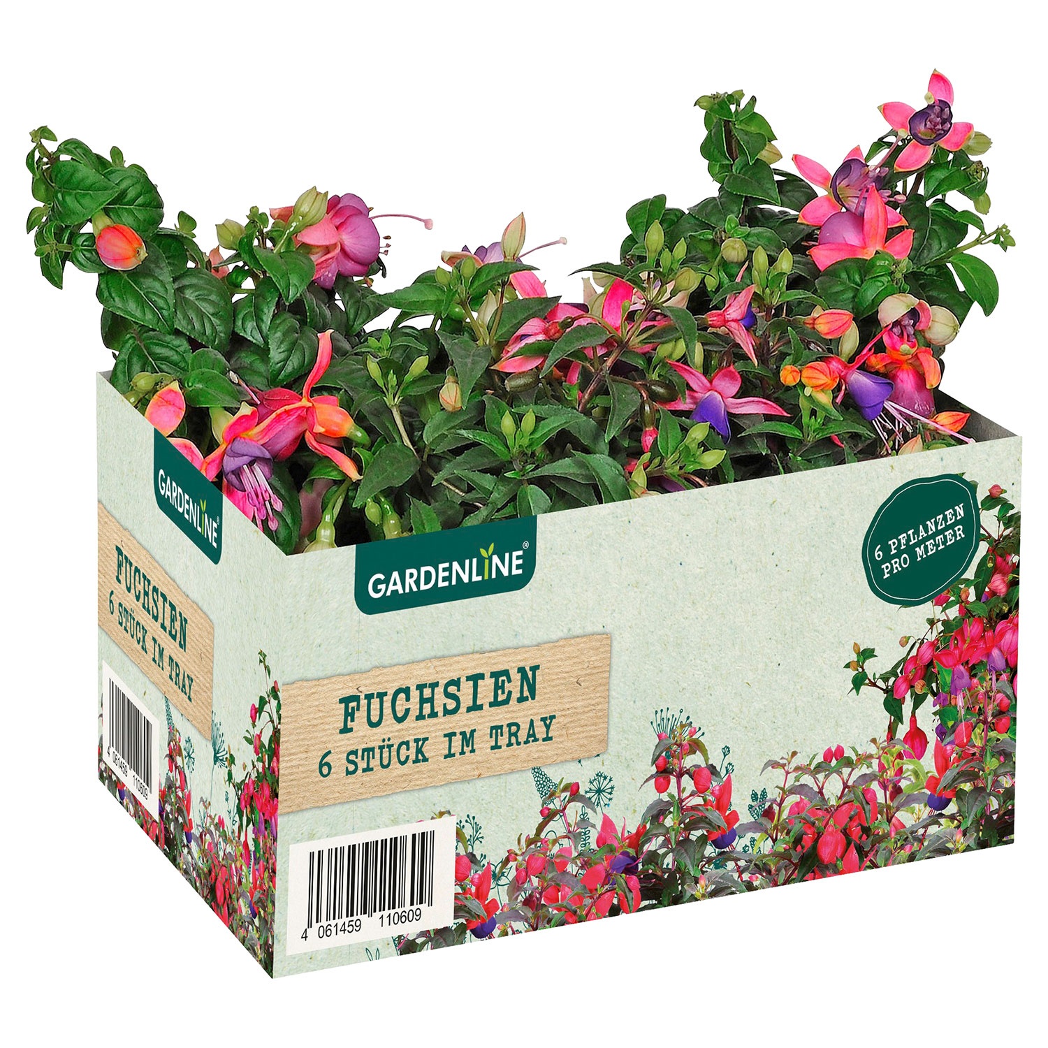 GARDENLINE Beet und Balkonpflanz, Fuchsie rosalila | ALDI SÜD