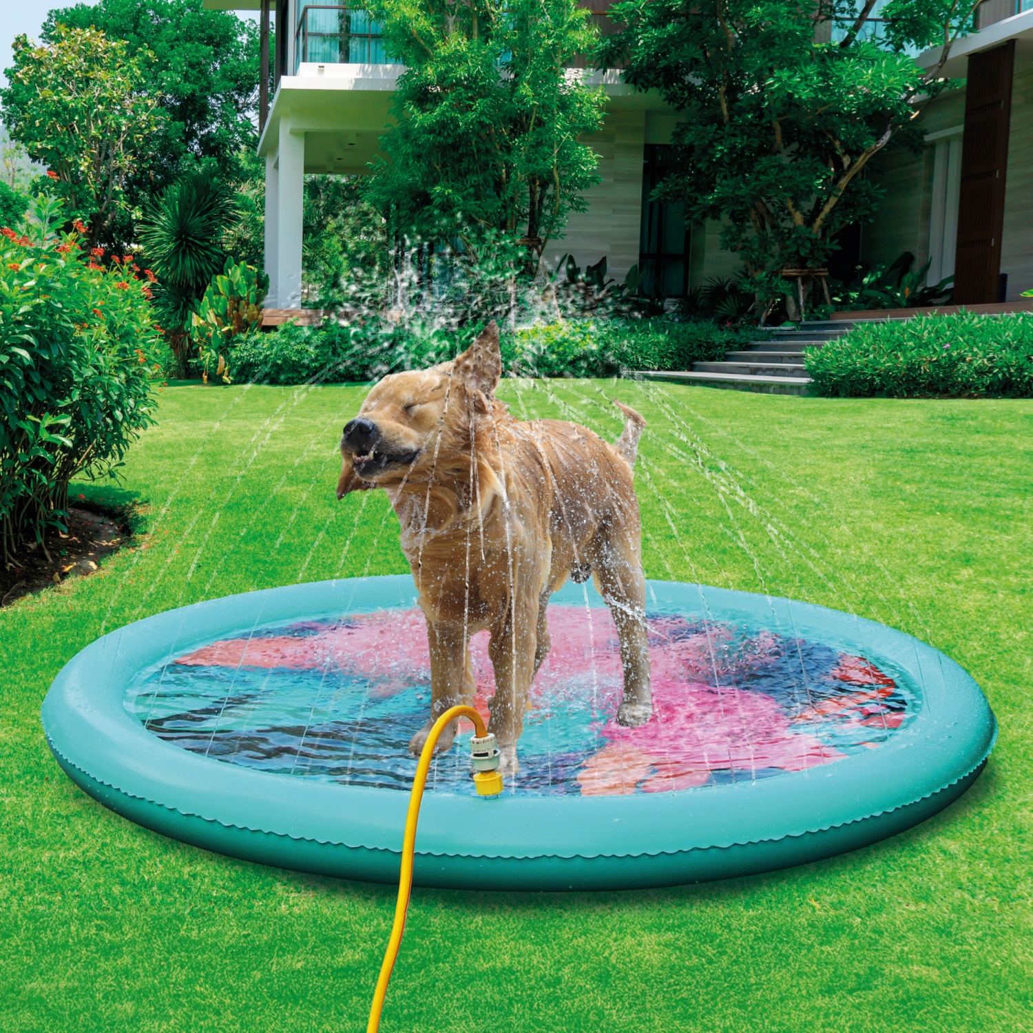 ROMEO ROMEO Hunde Sprinkelmatte, Blumen | HOFER
