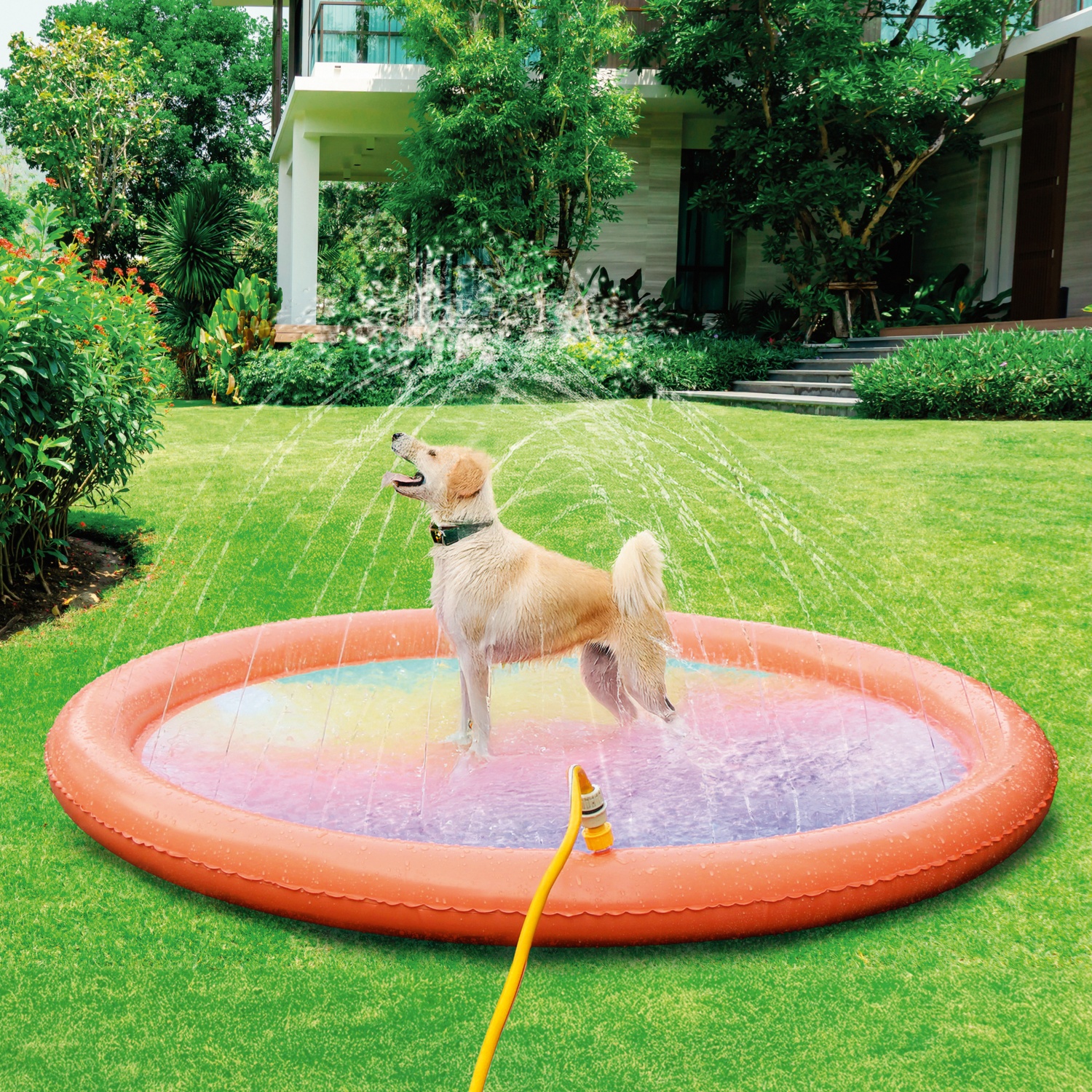 ROMEO ROMEO Hunde Sprinkelmatte, Sommer | HOFER