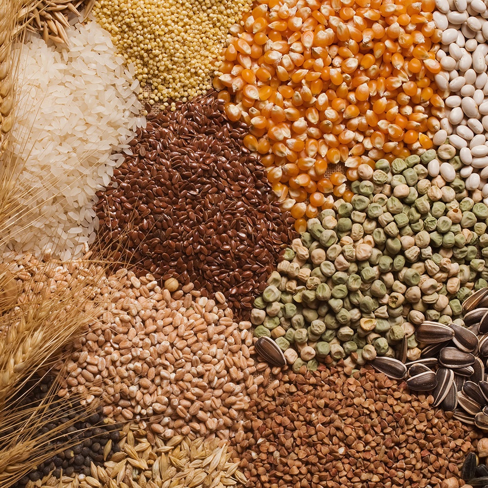 Includi i cereali nella dieta, con gusto, con ALDI!