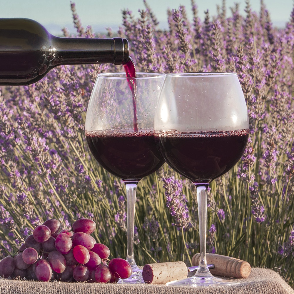 Vini francesi vs vini italiani: le differenze | Vinoteca ALDI