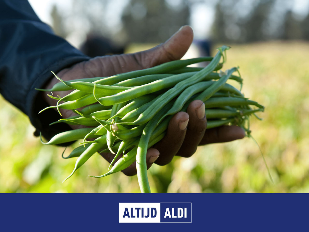 Alles over sperziebonen + lekkere recepten | Altijd ALDI