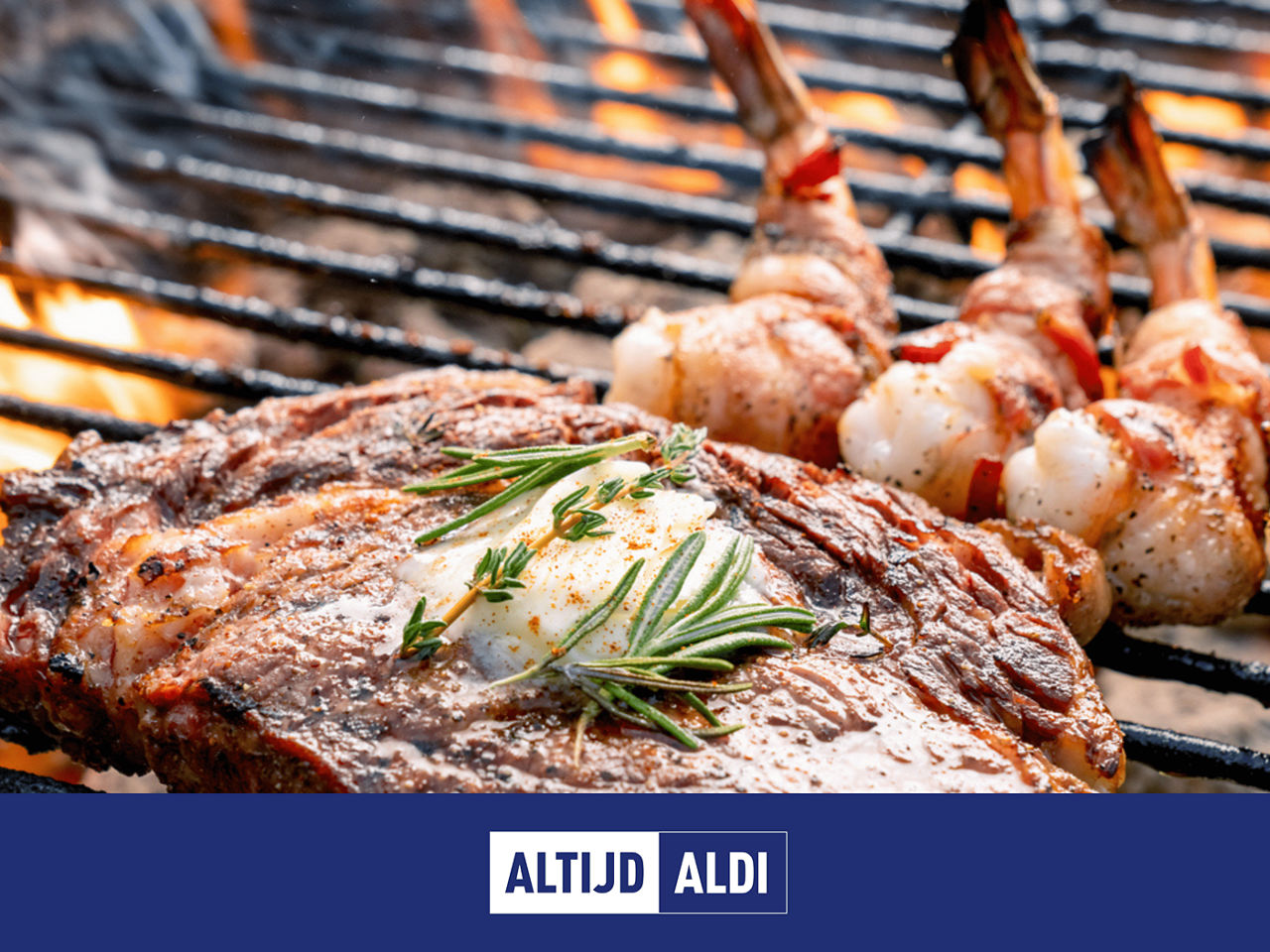 Diepvries vis en vlees op de BBQ? Dit moet je weten! | Altijd ALDI