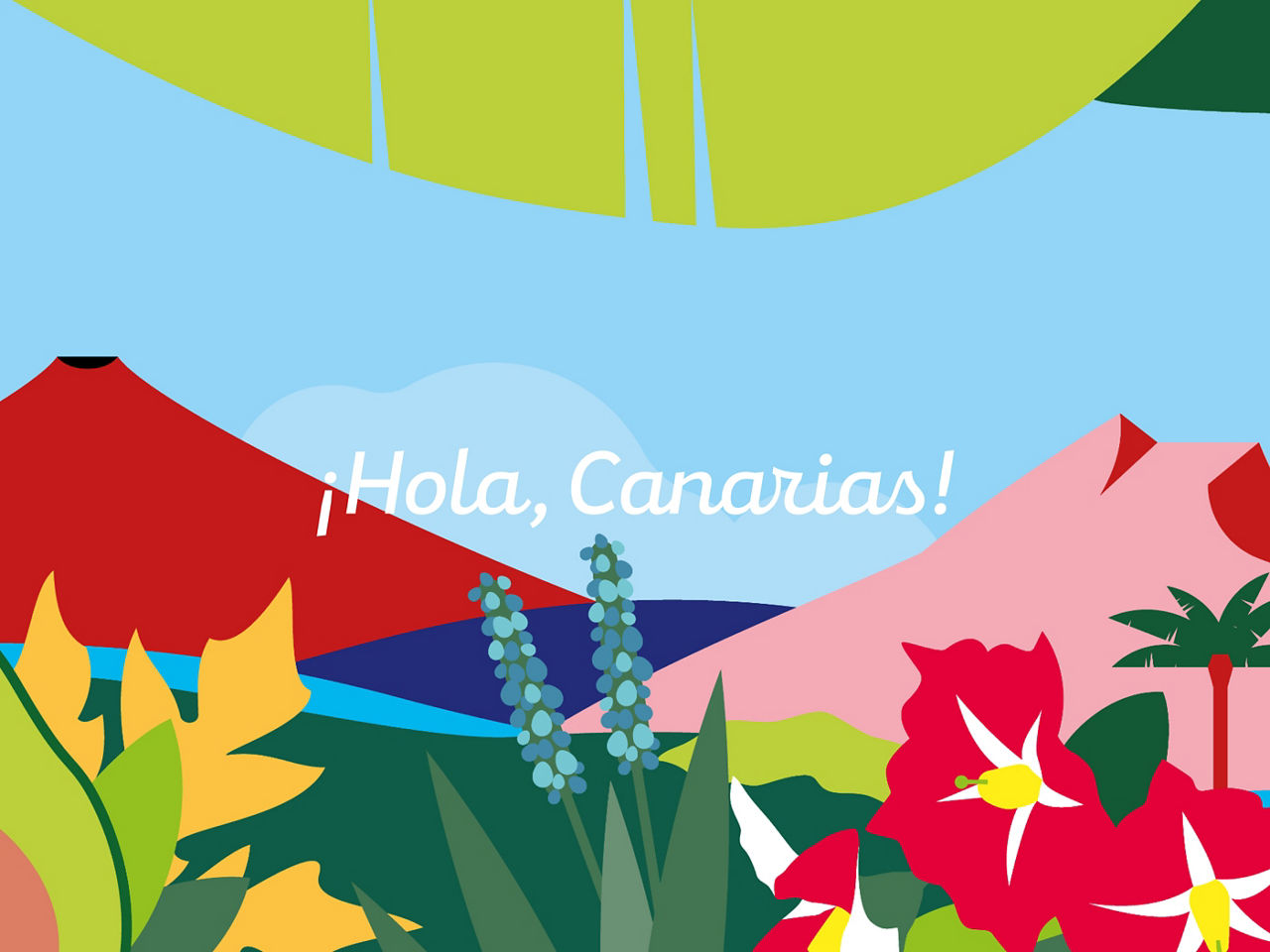 ALDI en Canarias: tiendas, folleto y más