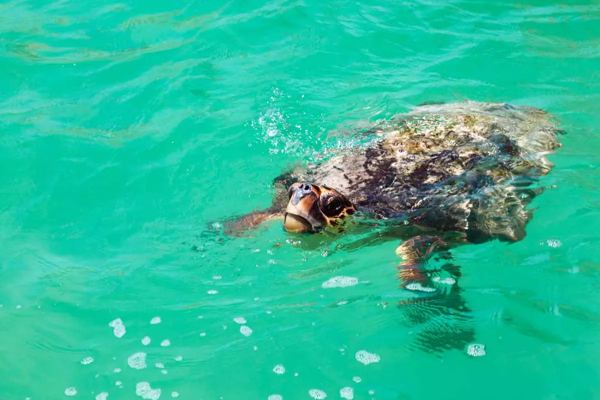 Sian Mexico Biosphere Reserve Hacienda Chekul | Journey Mexico Luxury