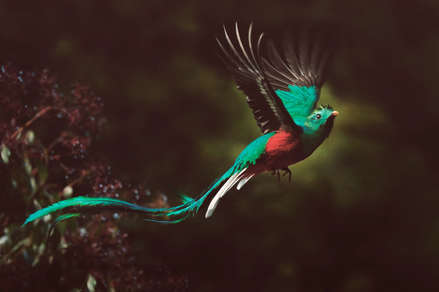 10 cosas que hacer en Costa Rica que no te puedes perder