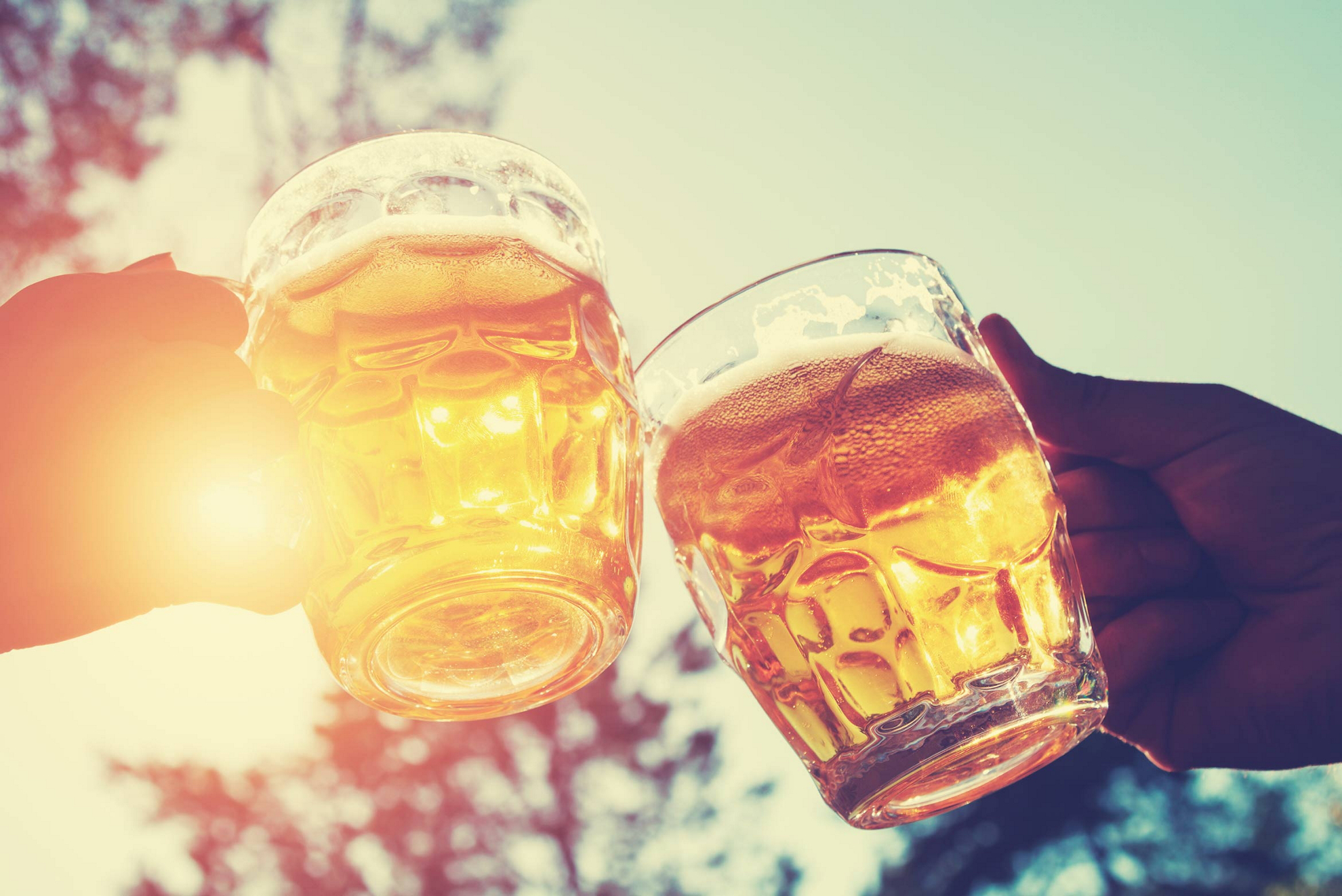 ¿Cuál es la mejor cerveza del mundo?