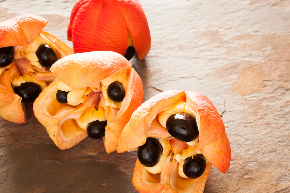 Exotic Fruits: Weird fruits to try on your travels