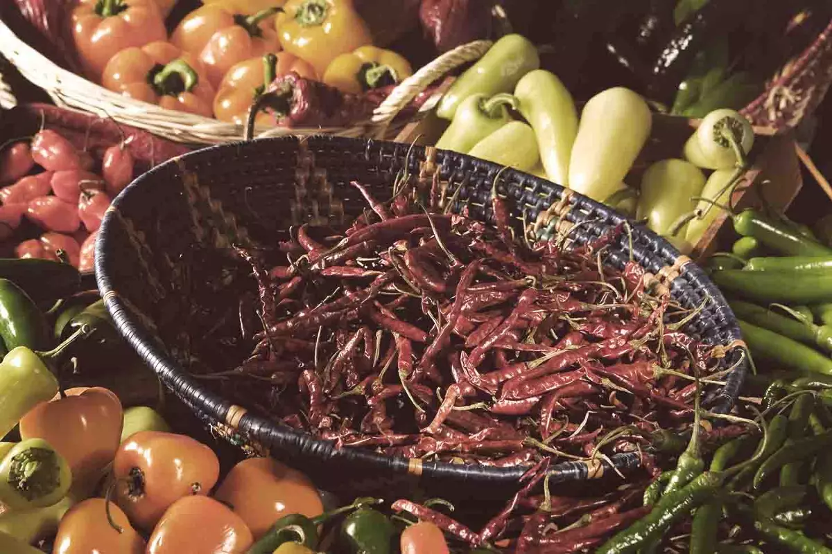 Tipos De Chiles Mexicanos