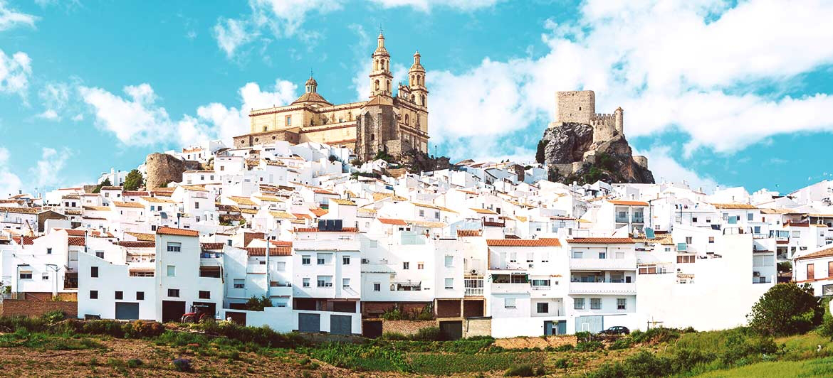 Spanish sherry: Everything you need to know about Jerez wine