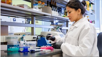 Custom Molecular Assays | Pioneering Diagnostics