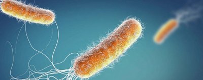 GENE-UP® TYPER | Pioneering Diagnostics