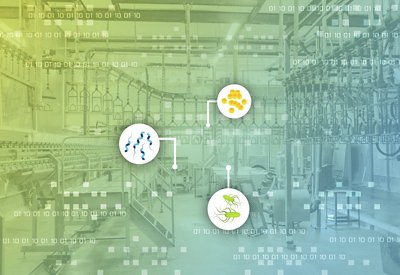 Augmented Diagnostics: Enhancing Poultry Quality Control | Pioneering ...