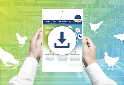 Augmented Diagnostics: Enhancing Poultry Quality Control | Pioneering ...