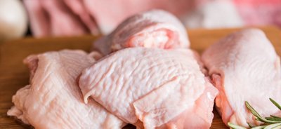 Raw Poultry | Pioneering Diagnostics