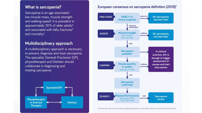 World Sarcopenia Day: highlighting the importance of muscle