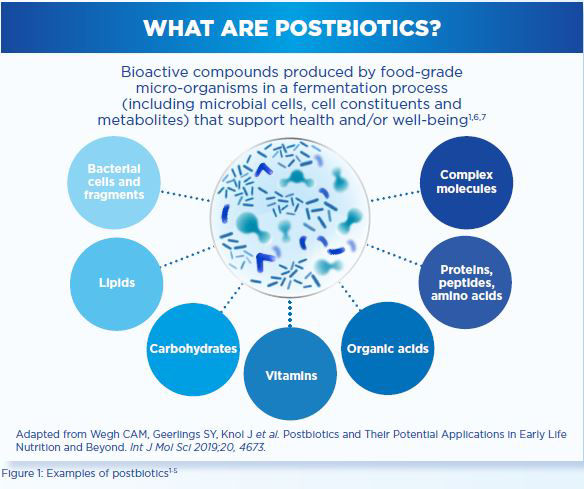 Nutricia welcomes the consensus definition on 'Postbiotics', the newest ...