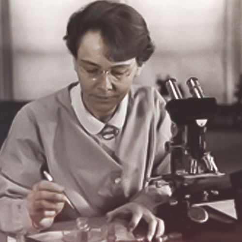 A long heritage of Life-Transforming nutrition