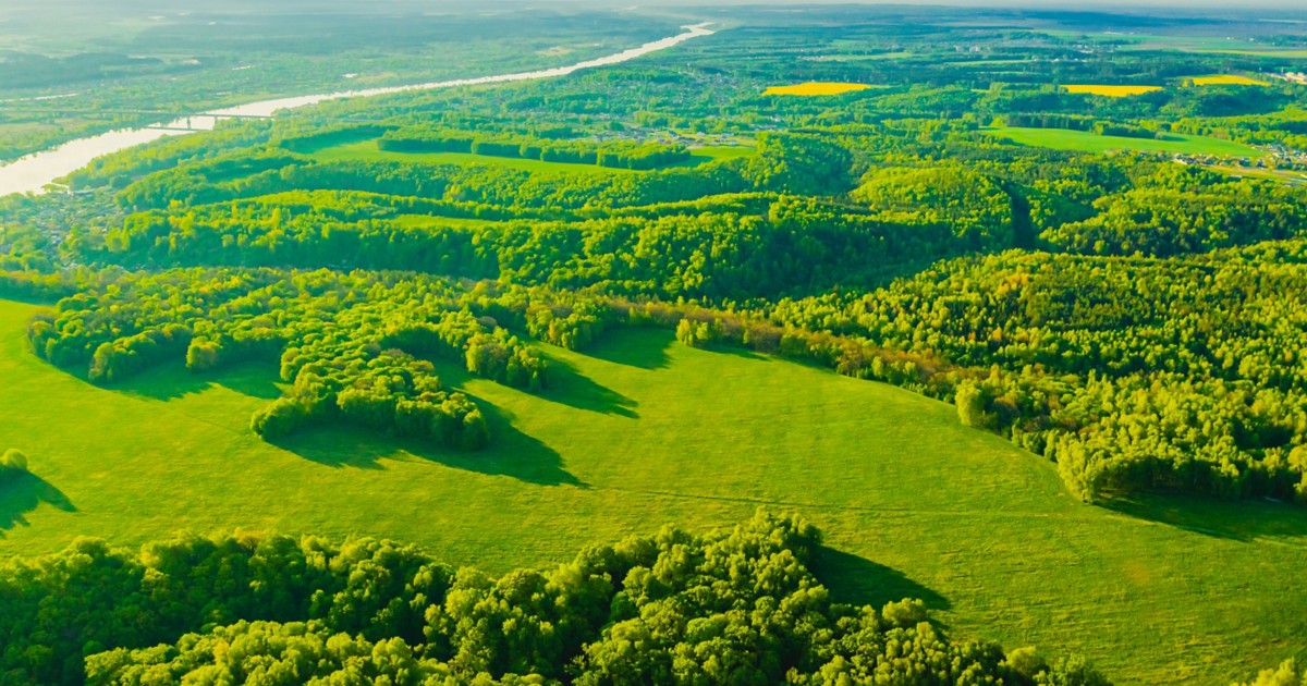 GHG Emissions Monitoring and Reporting | Eni