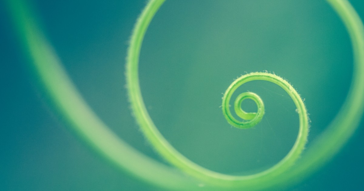 The circular economy in our strategy | Eni