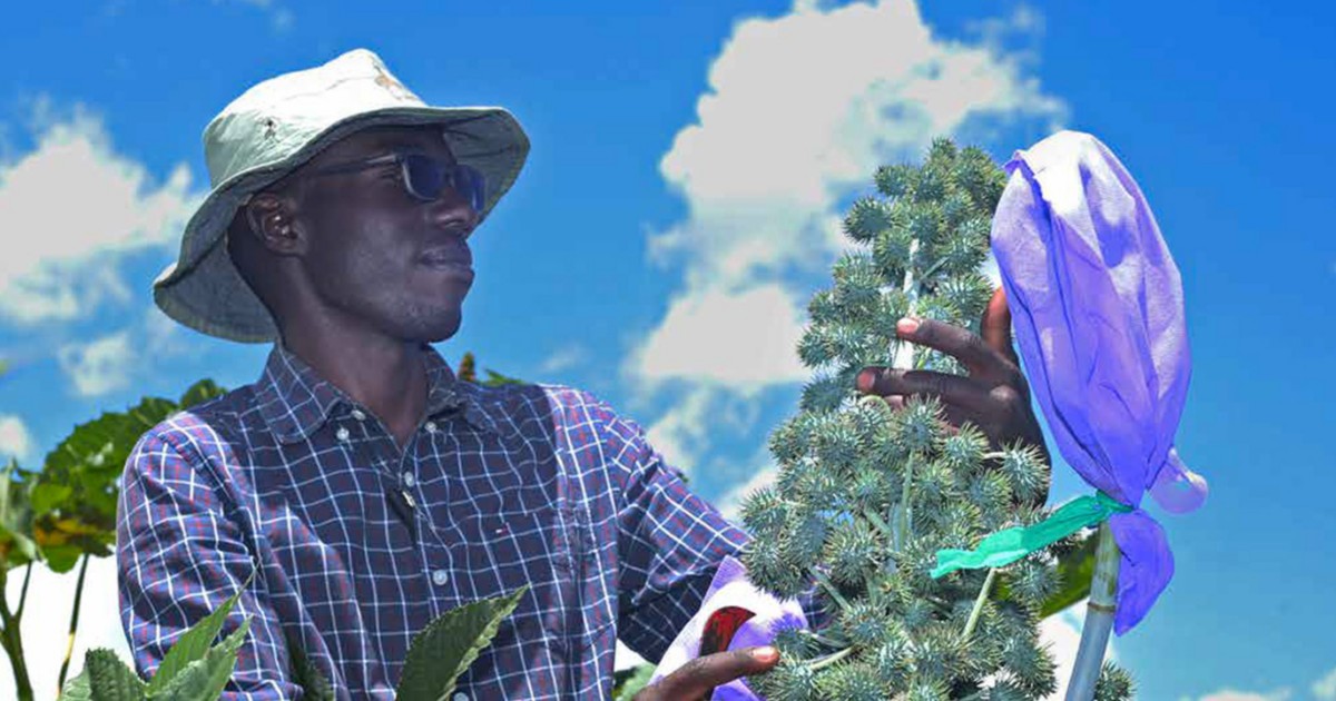 In Kenya, agri-hubs support transport emissions reduction | Eni