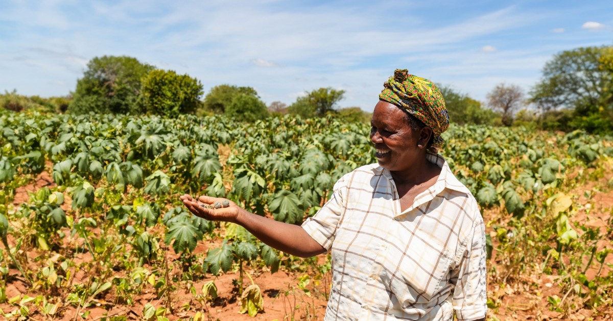 Our work in Kenya | Eni