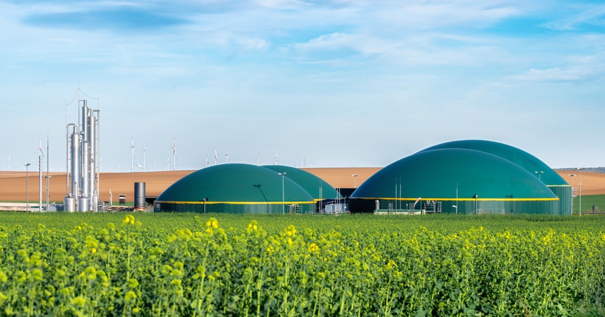 What biofuels are and how they are produced