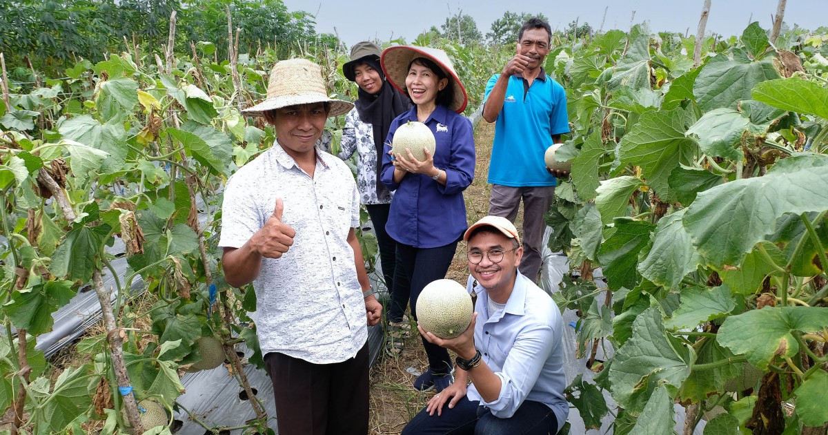 Local development projects in Indonesia | Eni